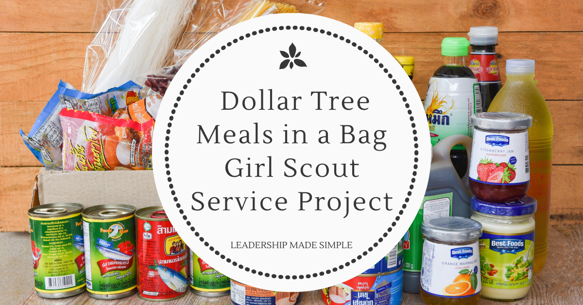 Dollar Tree Dinners Meal in a Bag Service Project – Troop Leader